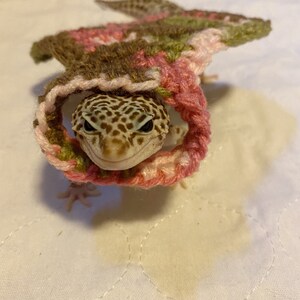 Pink Camo Gecko Costume | Gecko Cape | Crocheted | Pet Costume - Etsy
