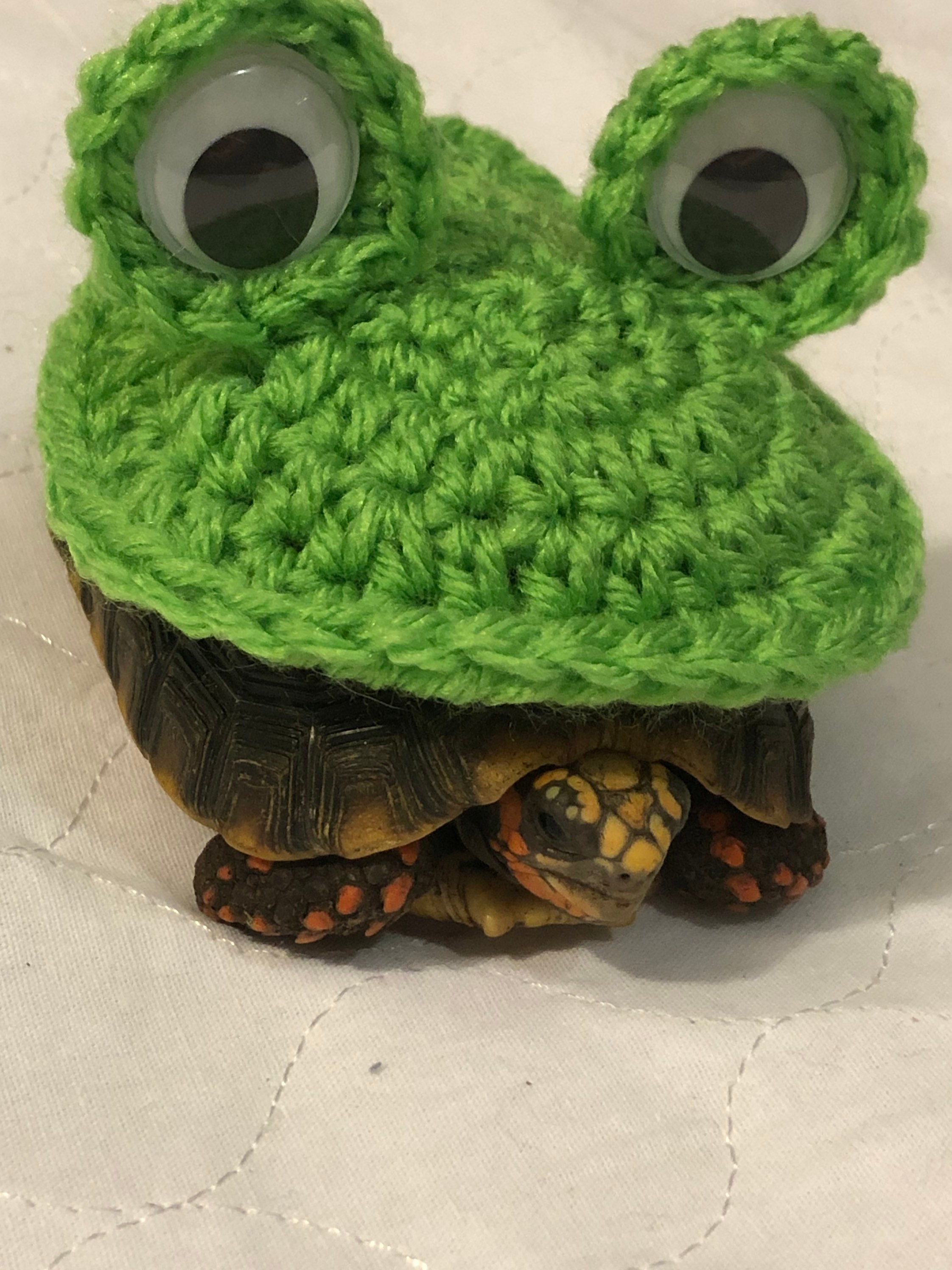 Frog Tortoise Costume | Tortoise Hat | Tortoise Halloween Costume - Etsy
