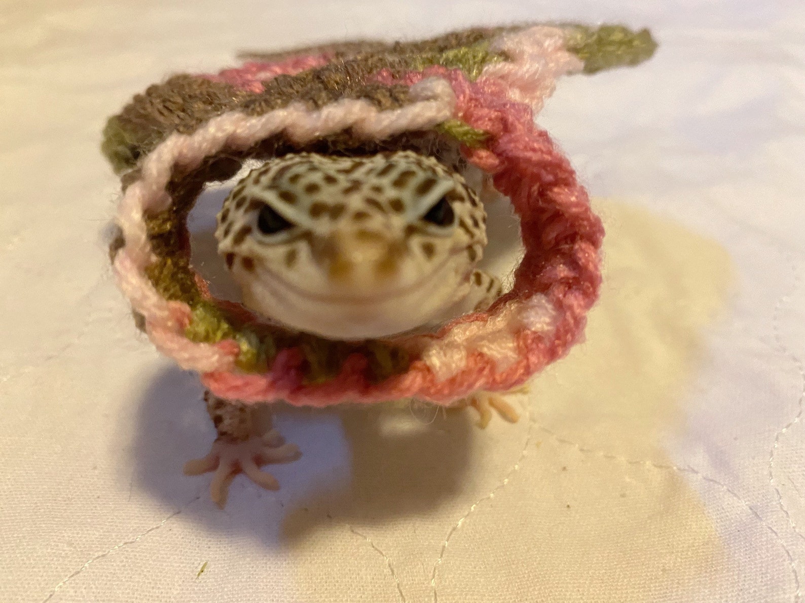 Pink Camo Gecko Costume Gecko Cape Crocheted Pet Costume | Etsy