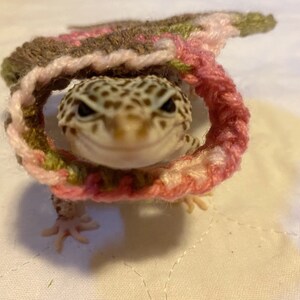 Pink Camo Gecko Costume | Gecko Cape | Crocheted | Pet Costume - Etsy