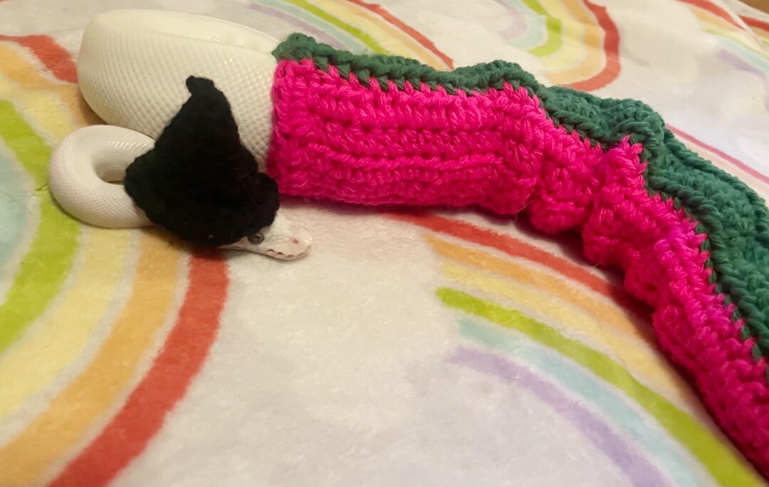 Wicked Inspired Snake Sweater | Halloween Costume | Crocheted Snake ...
