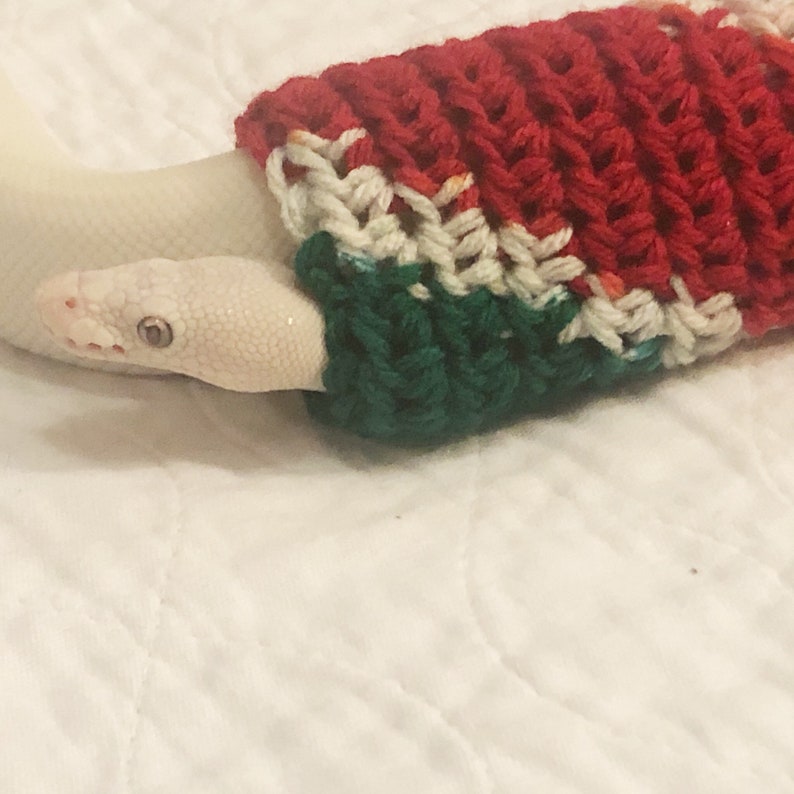 Mistletoe Snake Sweater Crocheted Snake Sweater Crocheted - Etsy