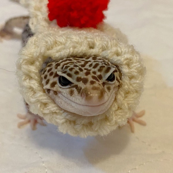 Leopard Gecko - Etsy