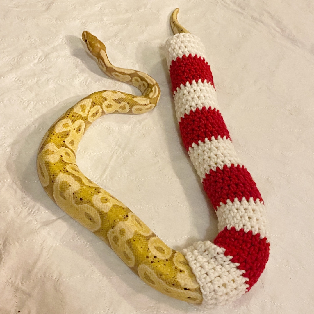 Candy Cane Snake Sweater | Christmas Sweater | Crocheted Snake Sweater ...