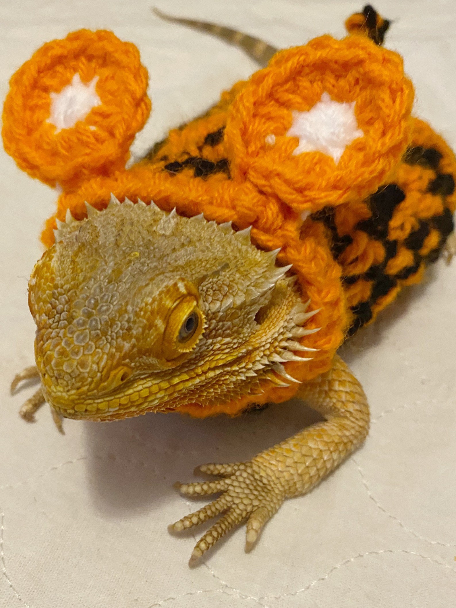 Crocheted Tigger Costume for Adult Bearded Dragon - Etsy