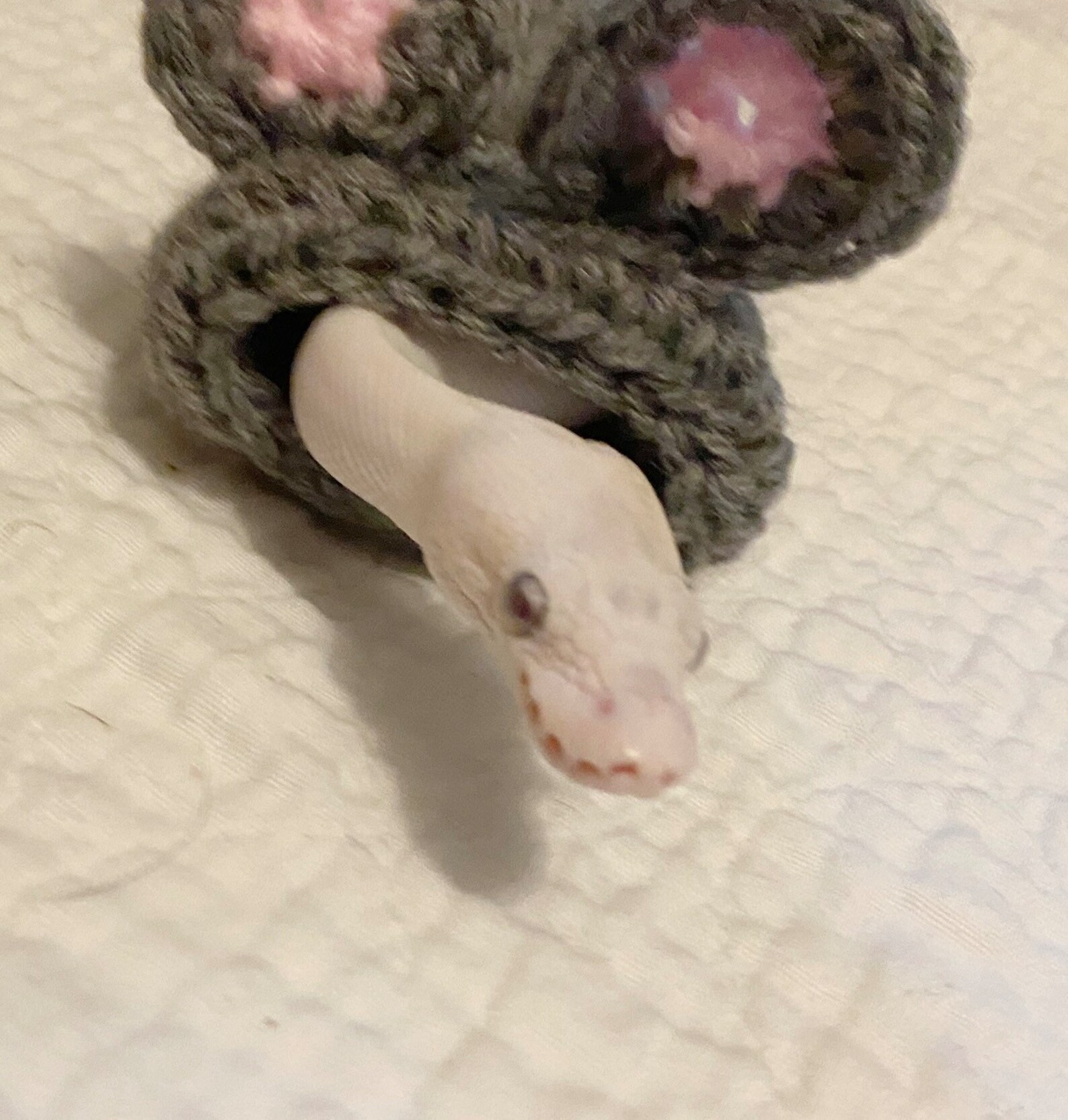 Mouse Snake Sweater | Halloween Costume | Crocheted Snake Sweater ...