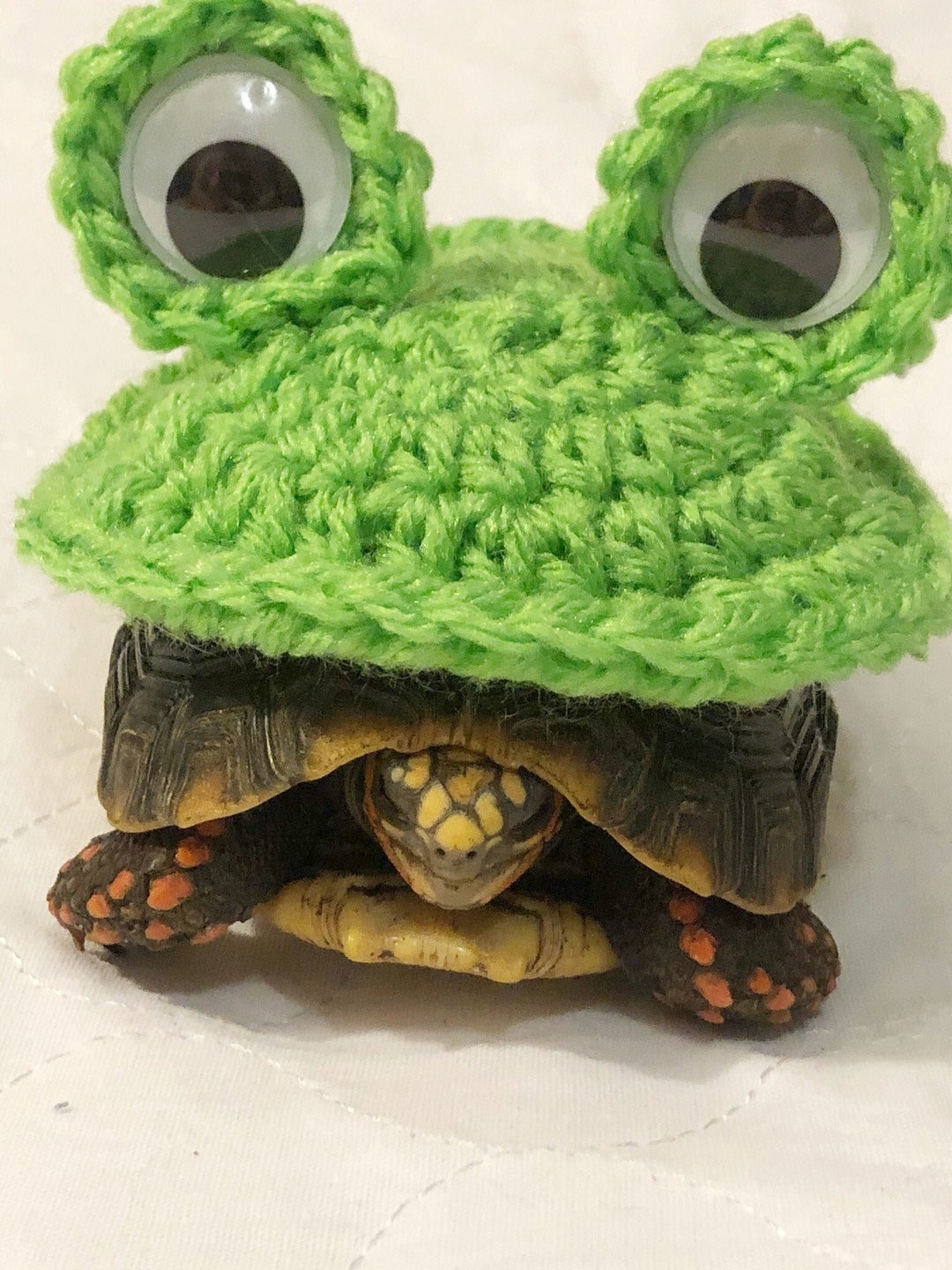 Frog Tortoise Costume | Tortoise Hat | Tortoise Halloween Costume - Etsy