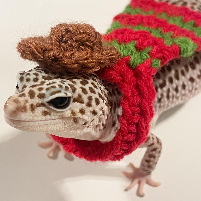 Gecko - Etsy