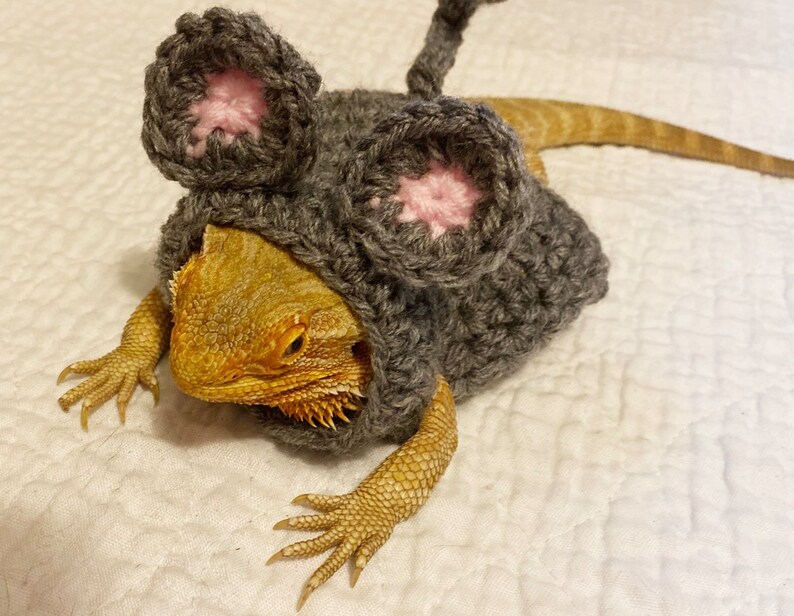Crocheted Adult Mouse Bearded Dragon Costume Bearded Dragon - Etsy