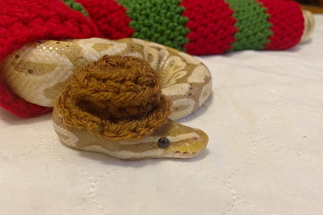 Freddy Krueger Snake Sweater | Halloween Costume | Crocheted Snake ...