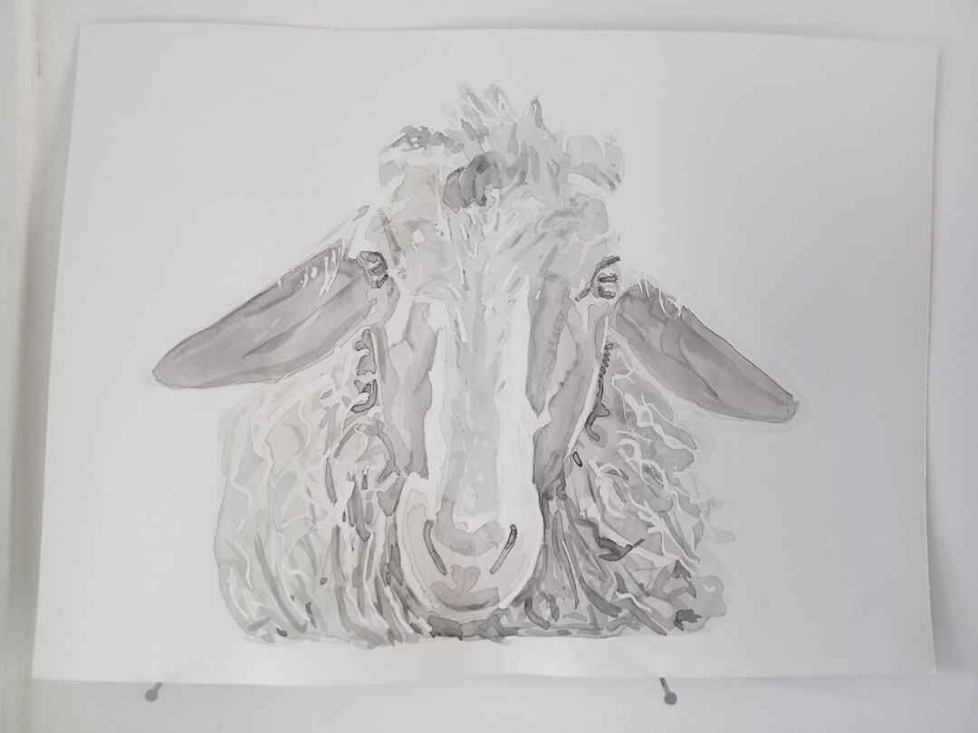 Sheep ORIGINAL WATERCOLOR ARTWORK Pyrenees Cheese Mountain Wool Sheep ...