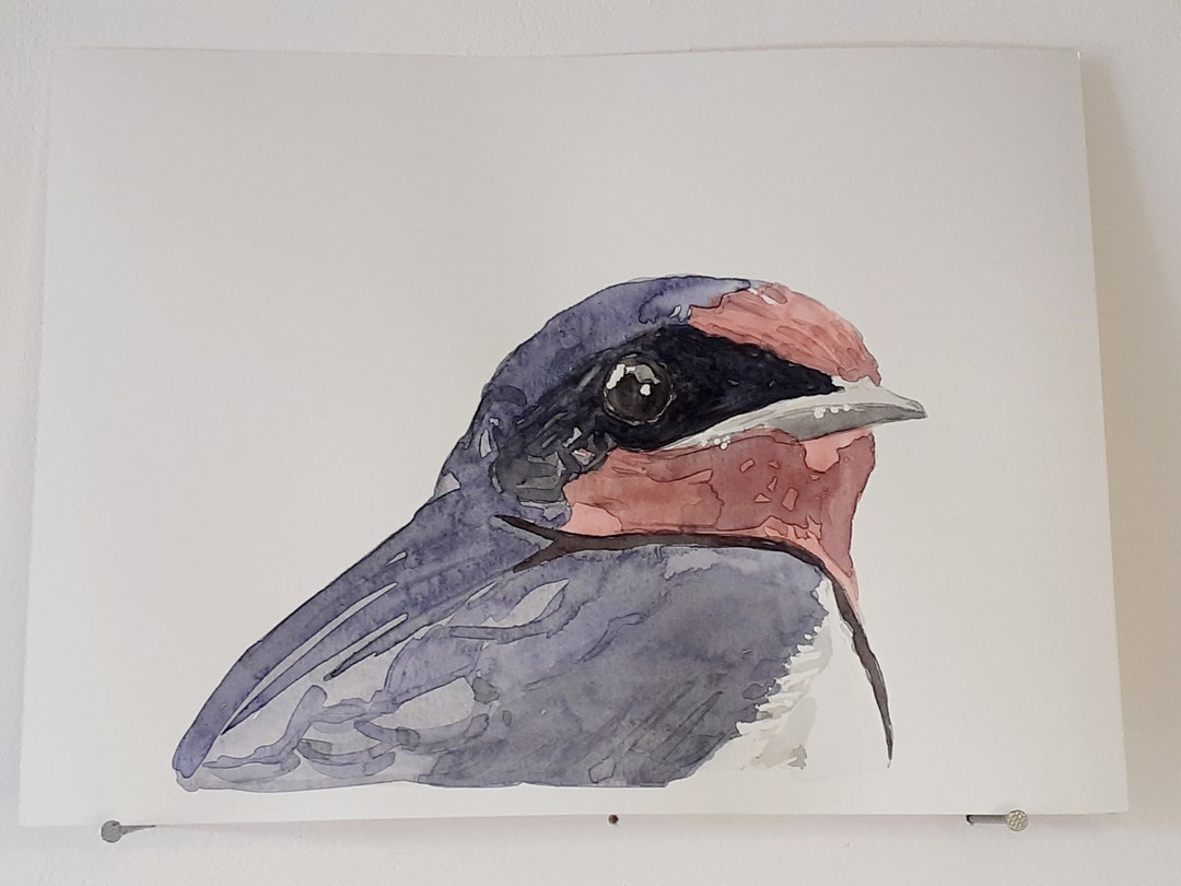 Chimney Swallow WATERCOLOR ORIGINAL ARTWORK Bird Portrait Feather Wall ...