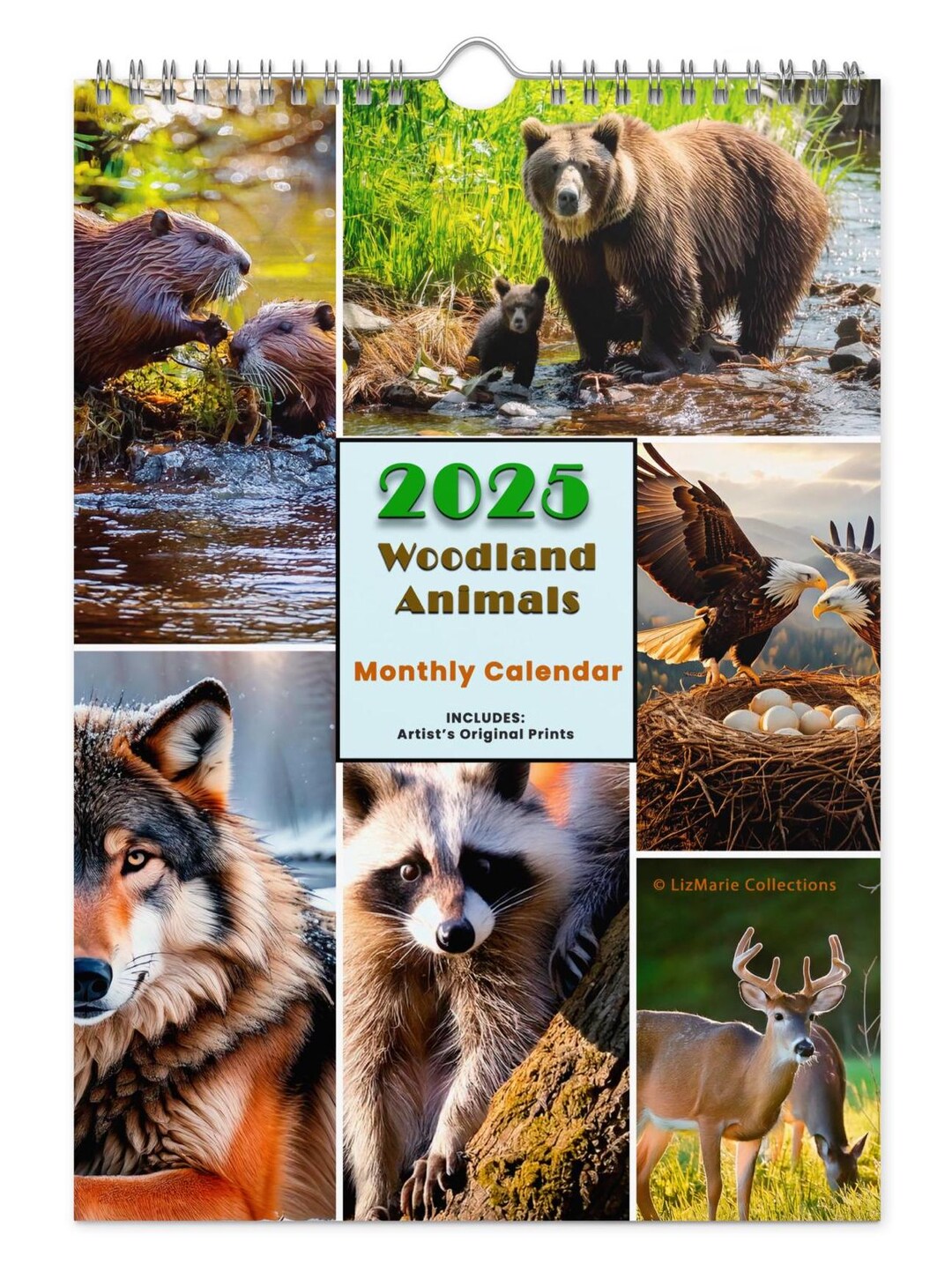 2025 Wall Calendar, Wall Calender, Animals Calendar, Woodland Animals ...