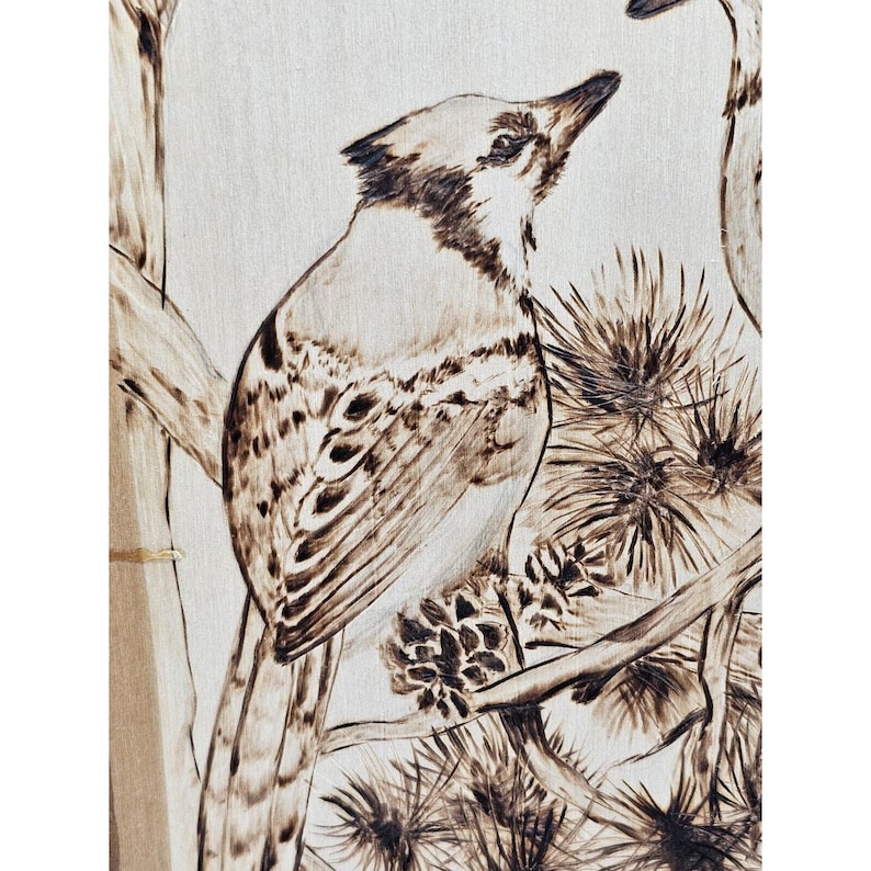 Handmade Pyrography Blue Jay Birds Pair Wooden 13x10" Plaque Artisan ...
