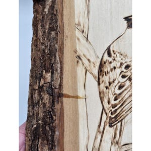 Handmade Pyrography Blue Jay Birds Pair Wooden 13x10" Plaque Artisan ...