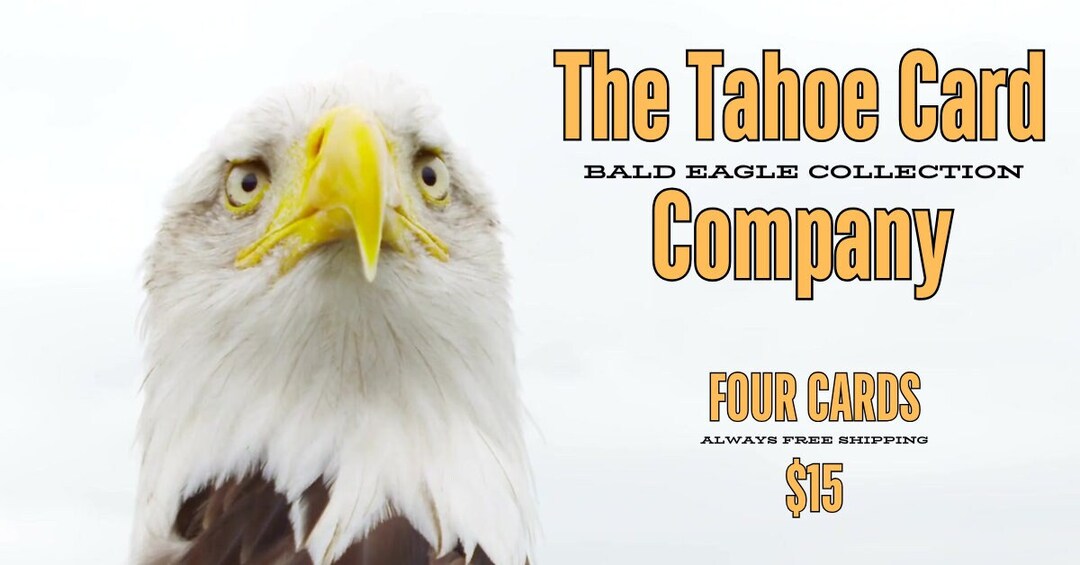 Tahoe Card Company Four Card Bald Eagle Collection, Four Blank 5x7 ...