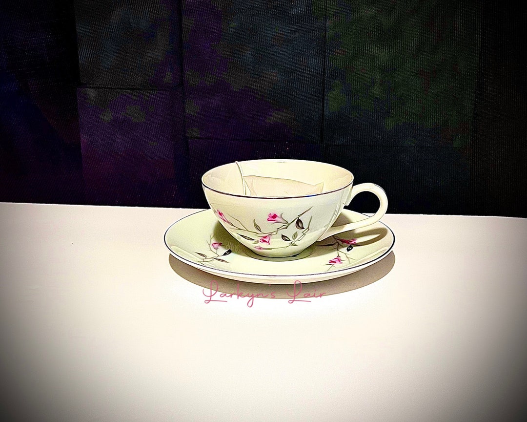 You've Been Poisoned Tea Cup & Saucer Pink Roses Skulls Gothic Horror ...
