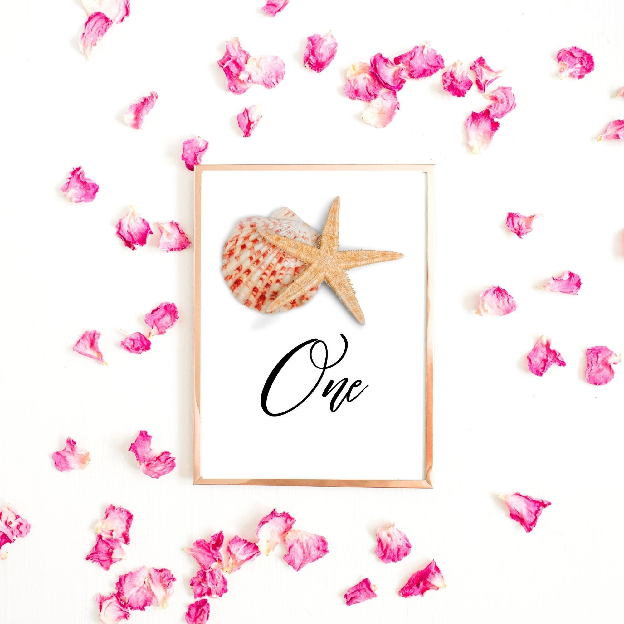 Ready to Print Seashell Table Numbers 1-20 for Beach Wedding, Bridal ...