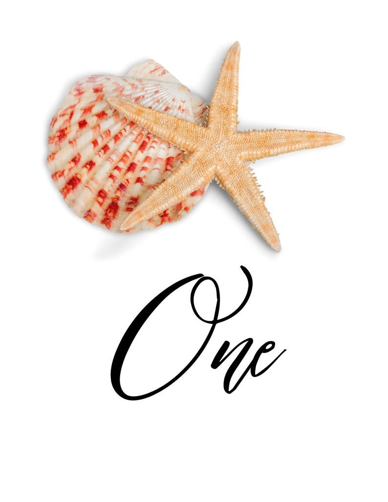Ready to Print Seashell Table Numbers 1-20 for Beach Wedding, Bridal ...