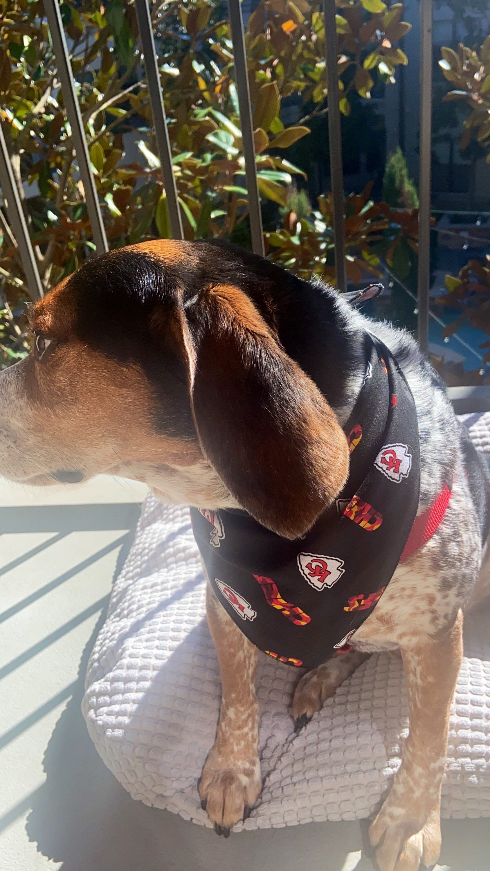 Kansas City Chiefs Bandana - Etsy