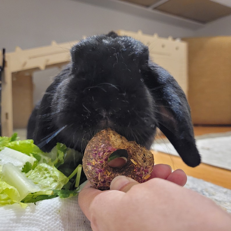 Rose & Calendula Flavored Bunny Flower Donut Molar Chew Treat - Etsy
