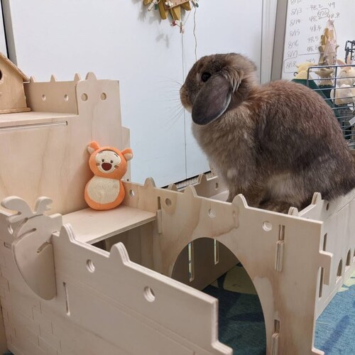 Rabbit Castle Ramp castle Tower Sold Separately | Etsy