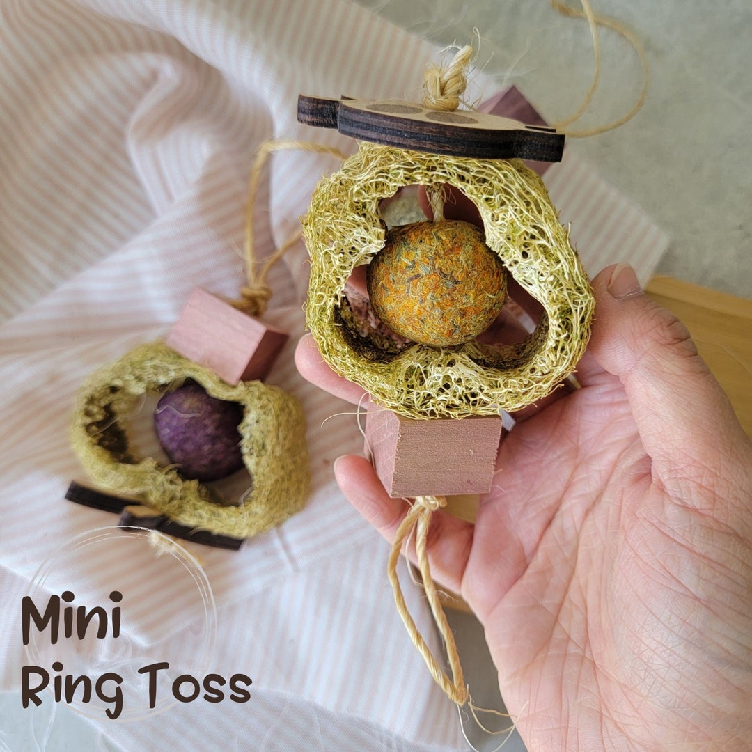 Natural Flavored Loofah Ring Toss Treat, Organic, Bunny Healthy Chew ...