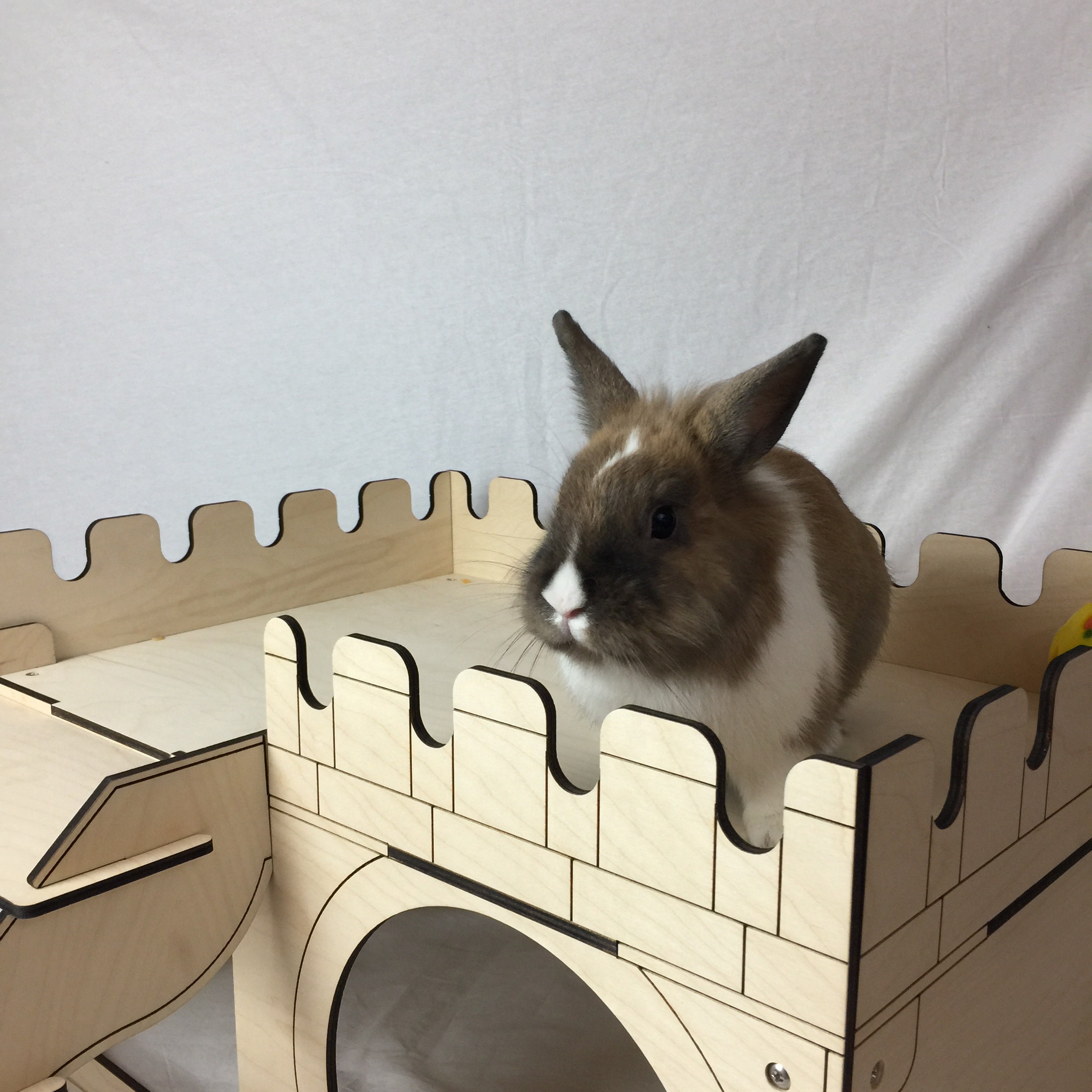 Jumbo Bunny Castle | Etsy
