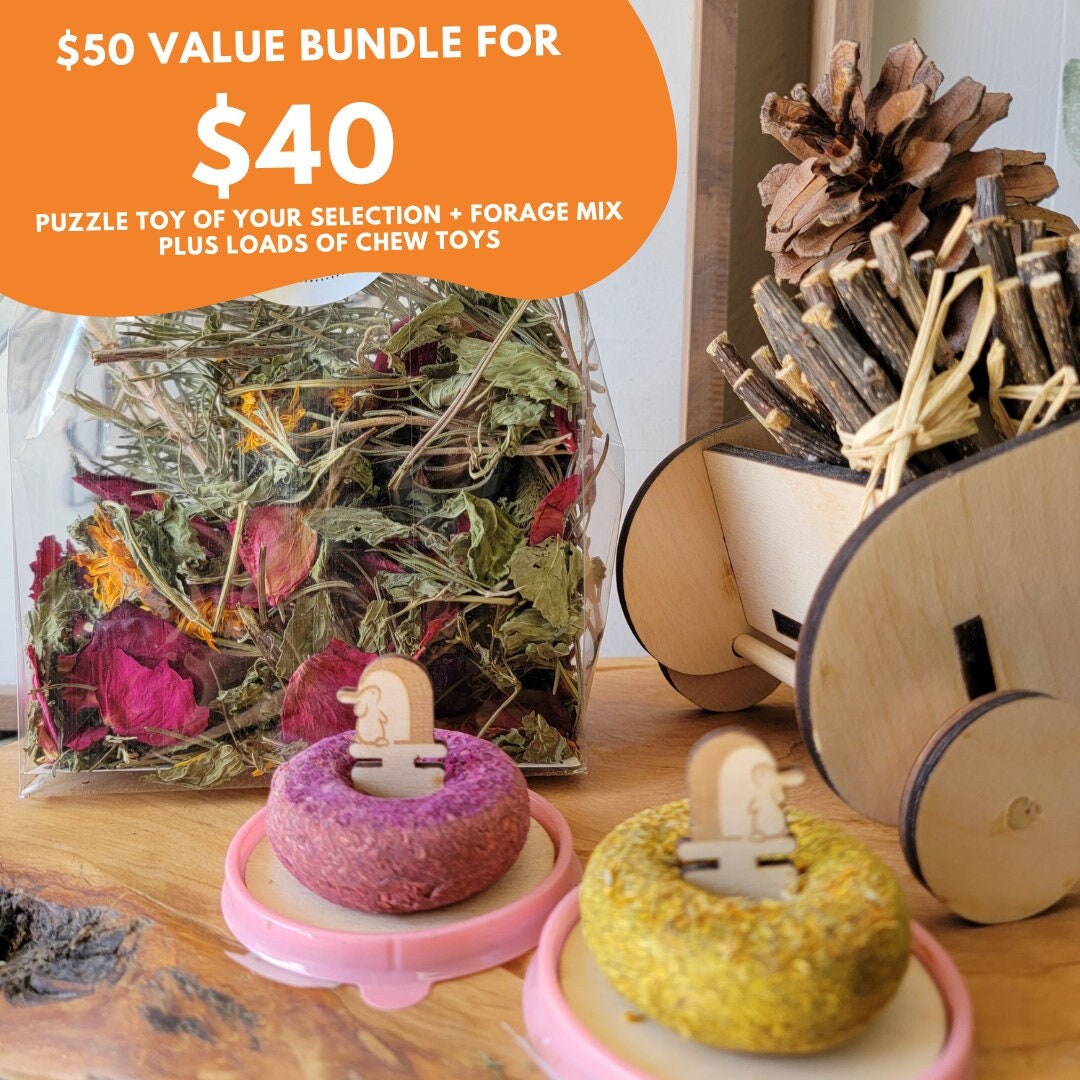 Forage Puzzle Toy & Forage Mix Bundle for Small Animals - Etsy