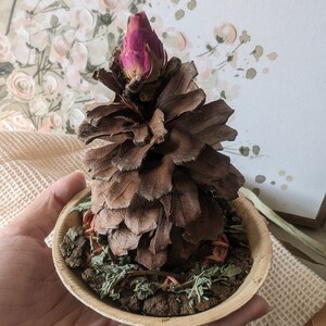 Pine Cone Christmas Tree for Bunnies Rabbit Treat Rabbit Chew Toy - Etsy UK