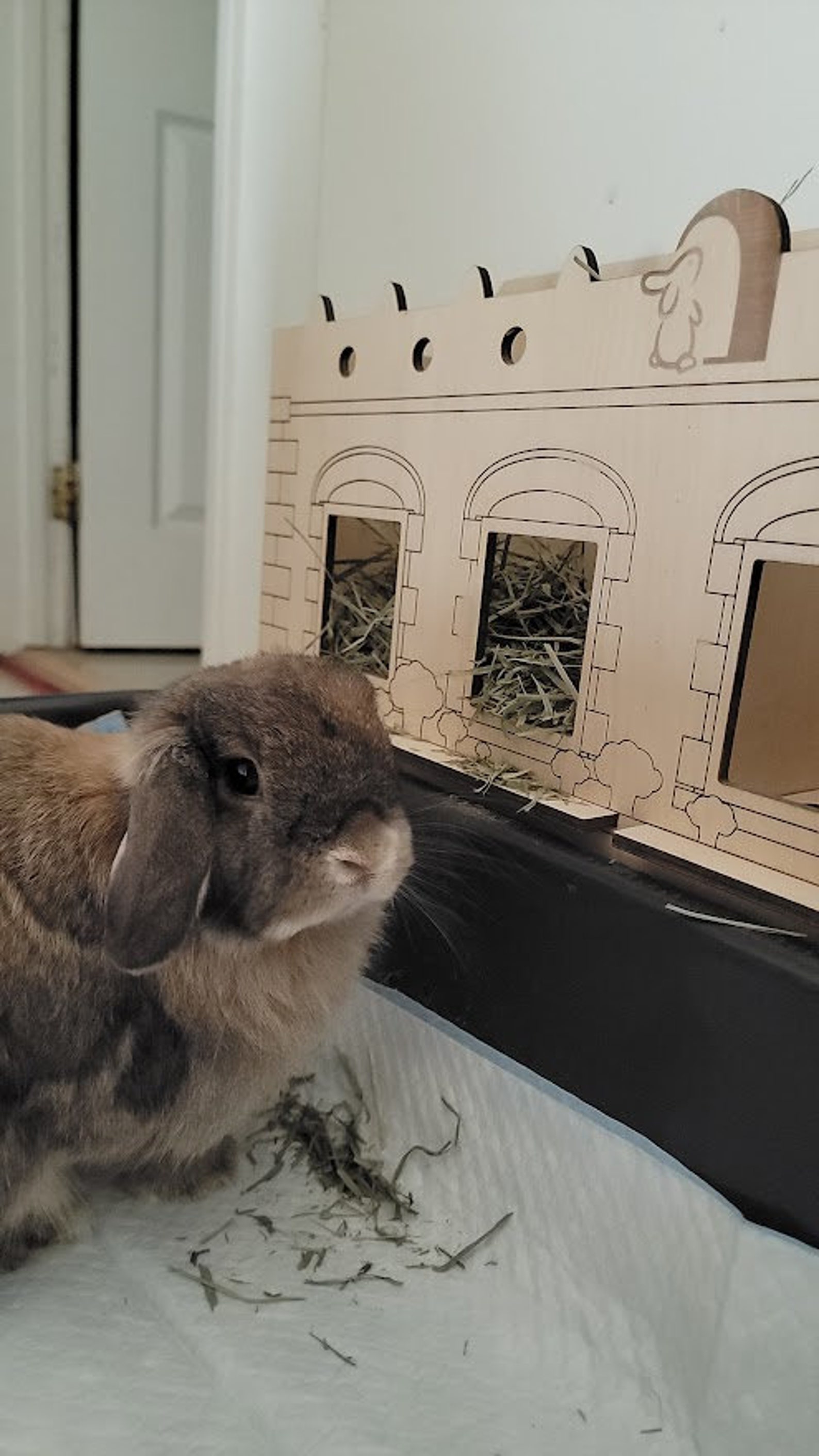 Large Rabbit Hay Feeder With Litter Box X-large Wide Entry - Etsy