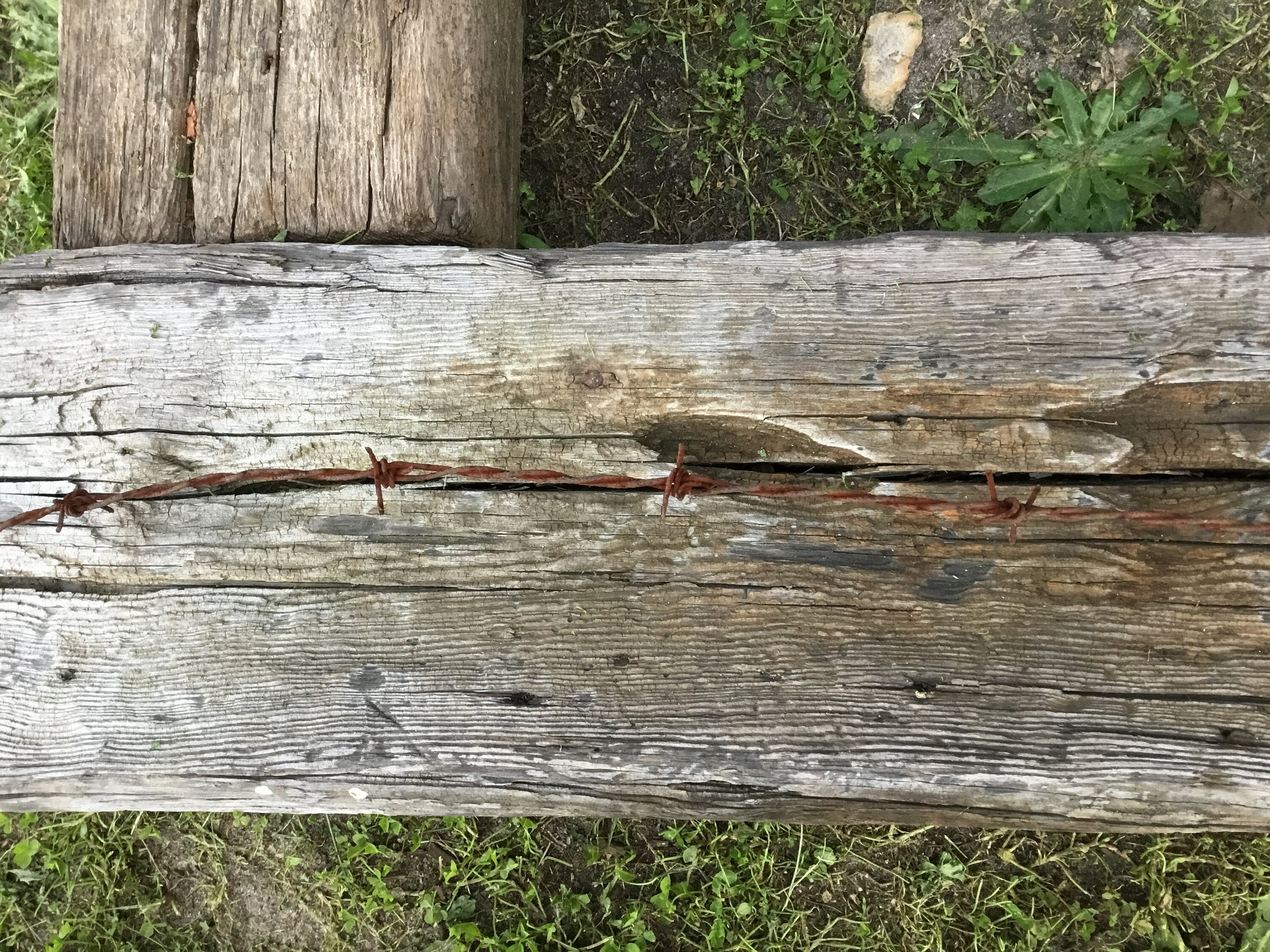 Vintage Barbed Wire - Etsy