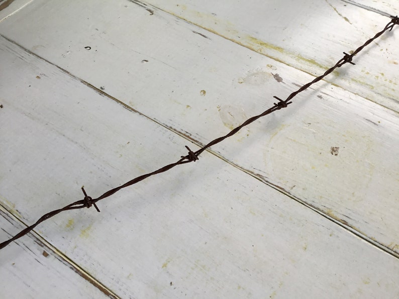 Vintage Barbed Wire | Etsy