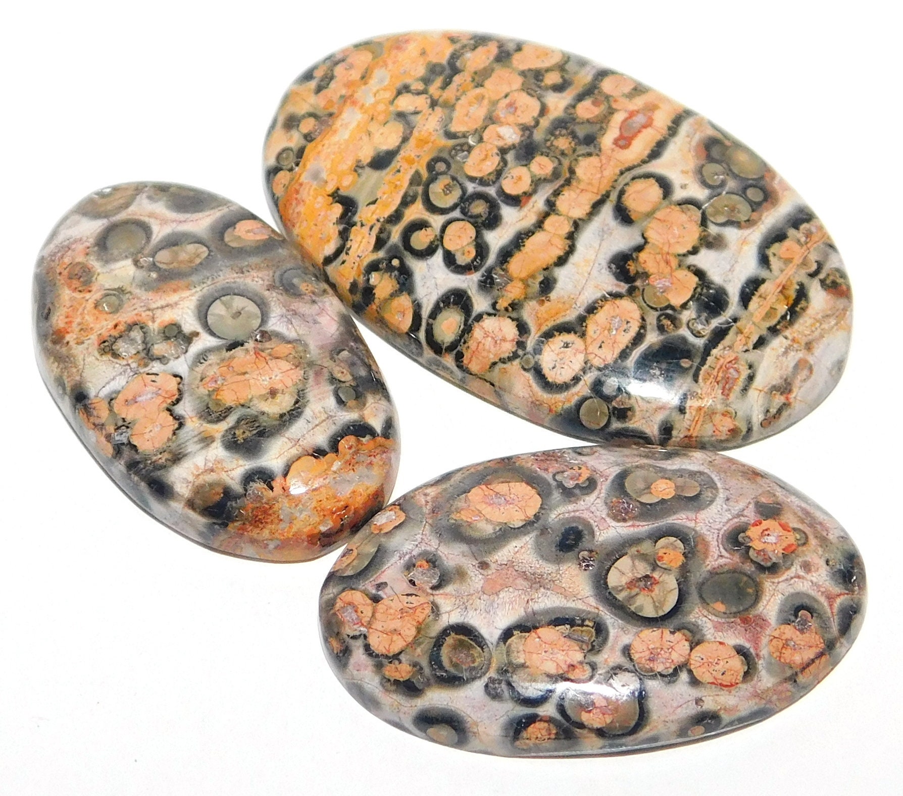 Best Quality Leopard Skin Jasper Cabochon Leopard Skin Loose | Etsy