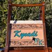 Handmade Custom Livestock Exhibitor Show Harness - Etsy