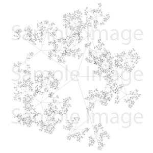 Organic Pentagonal Fractal Design Monochrome Ready to - Etsy Hong Kong