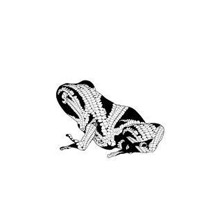 Fern Frog Clip Art - Etsy