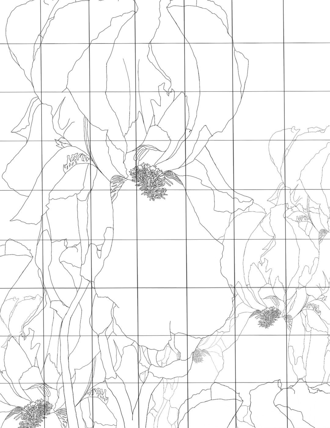 POD Advanced Botanical Grid Drawing Practice Sheets - Etsy