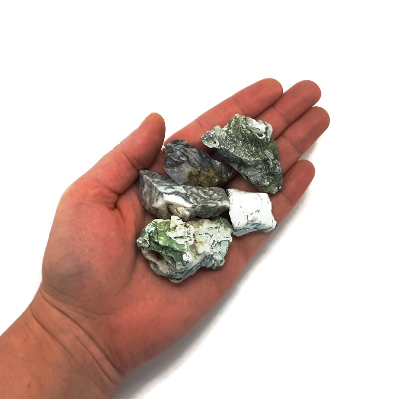 Natural Raw Tree Agate Tree Agate Crystal Earth Connection - Etsy UK