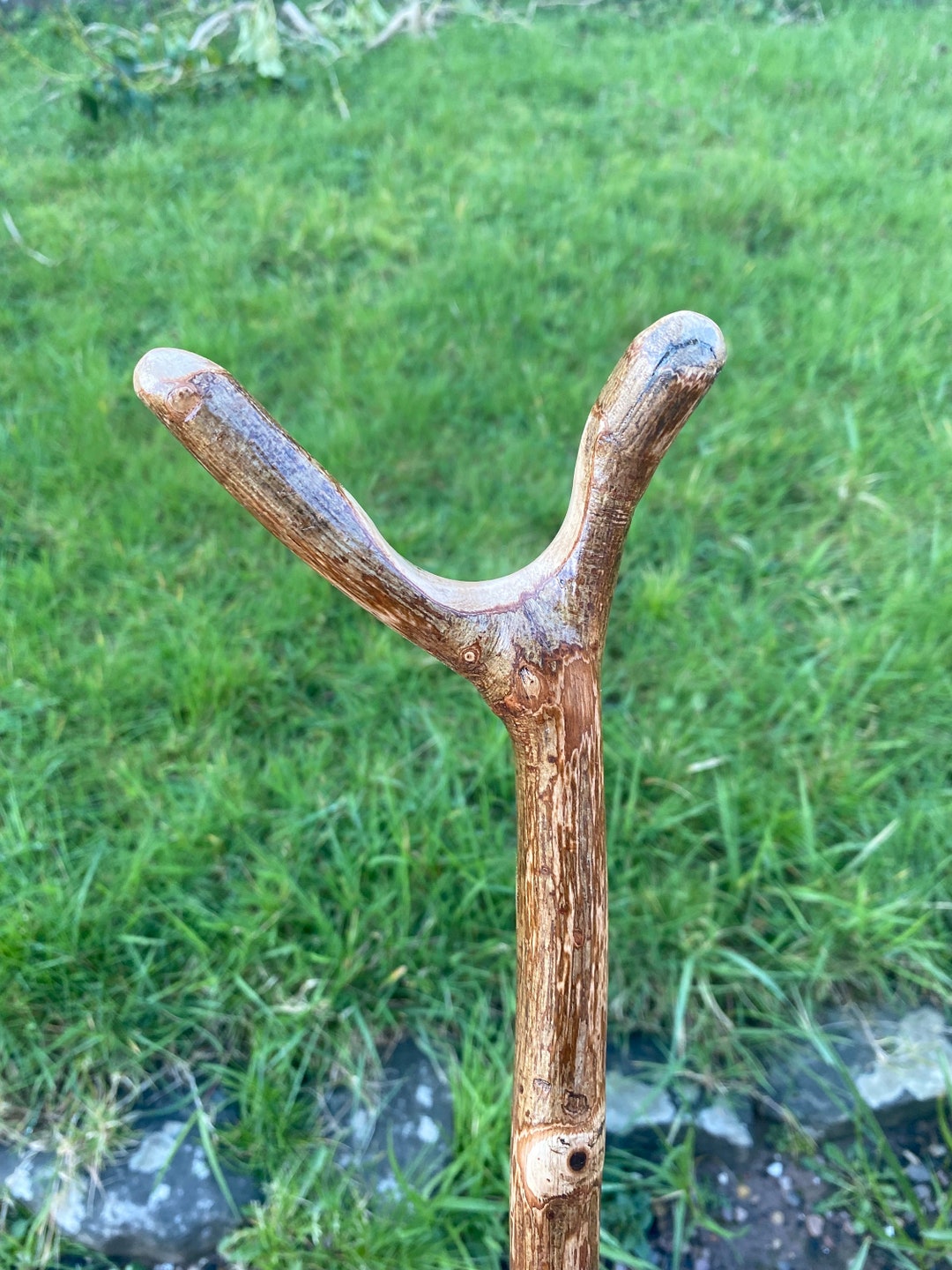 Elderberry Thumb Stick, Beautiful Natural Patina, Straight, Strong and ...