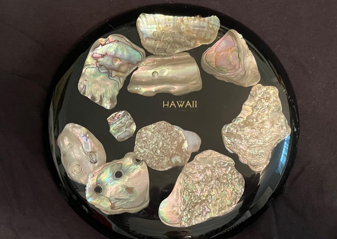 Vintage 1970s Acrylic Trivet With Embedded Sparkly Pieces of Mother of ...