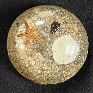 Vintage 1970s Acrylic Paperweight of a Sea Scape Containing, Starfish ...
