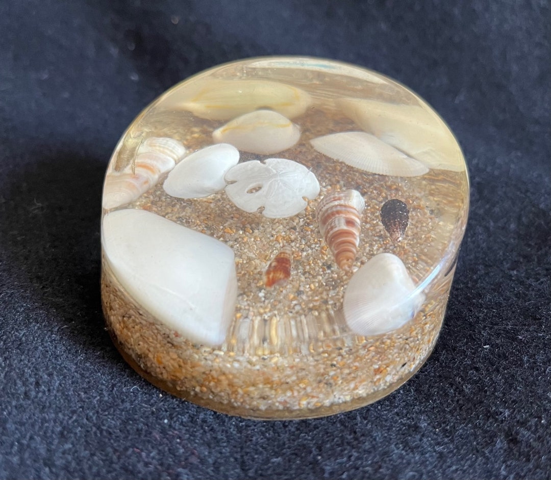 Vintage 1960s Acrylic Paperweight Embedded With Seashells an a Bed of ...