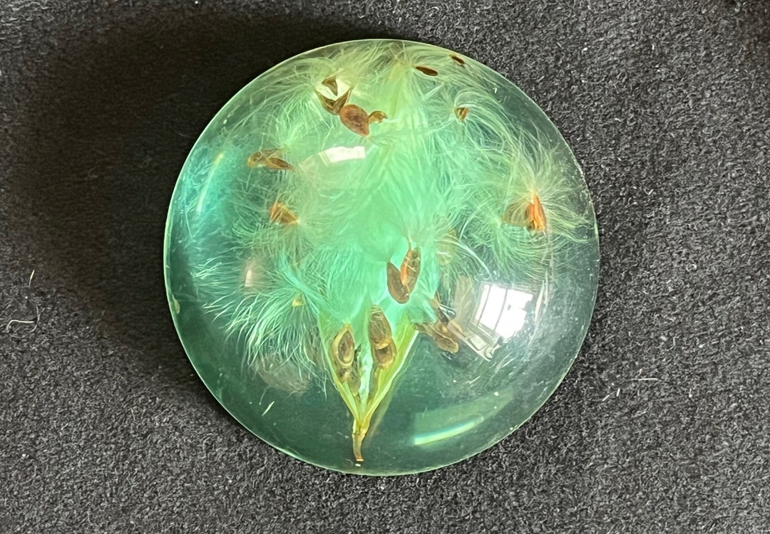 Vintage 1970s Acrylic Paperweight of an Exploded Seed Pod Unusual ...