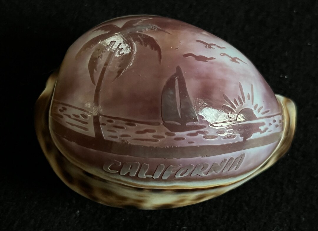 Vintage 1970s Carved Cowrie Shell Has It All -- Sailboat, Check ...