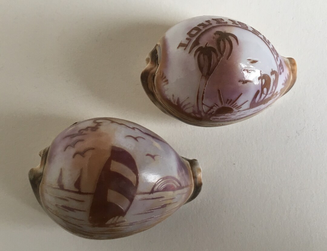 2 Vintage Carved Cowrie Shells -- Tropical Scenes - Etsy