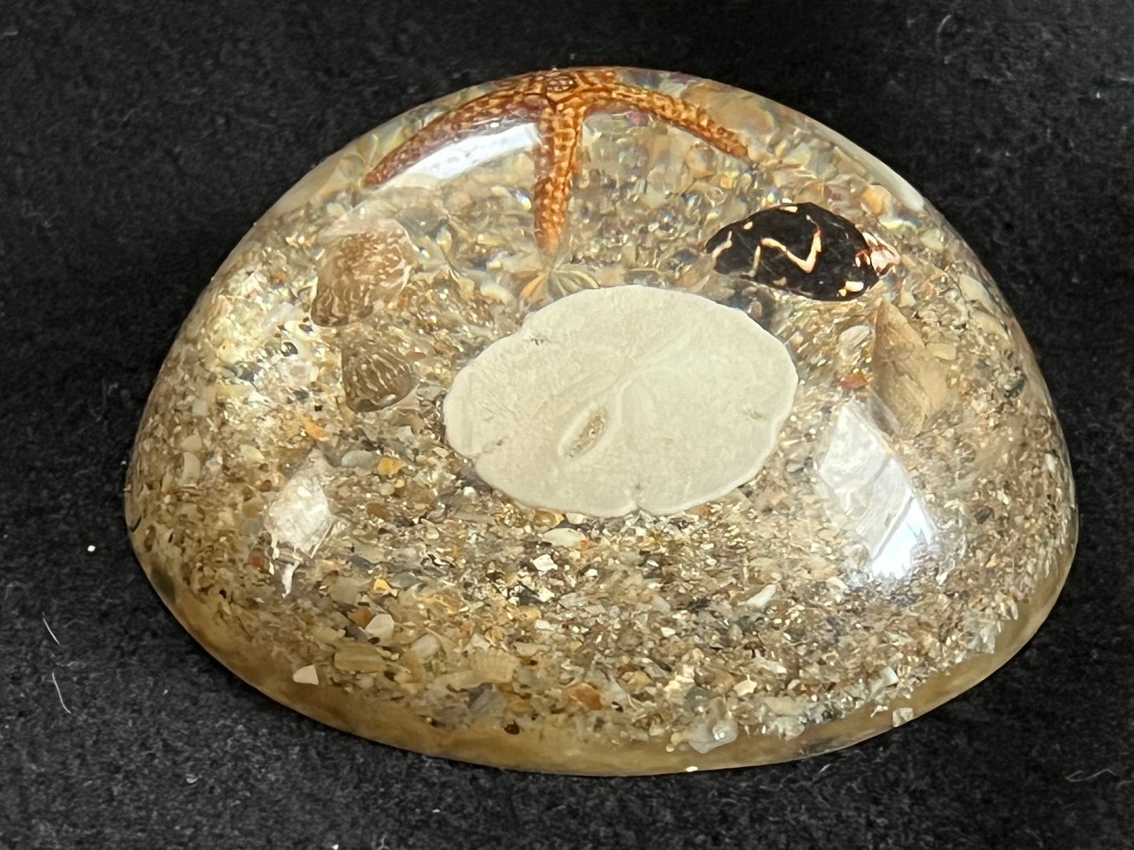 Vintage 1970s Acrylic Paperweight of a Sea Scape Containing, Starfish ...