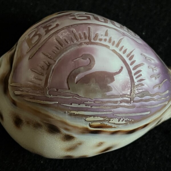 Shell Souvenirs - Etsy