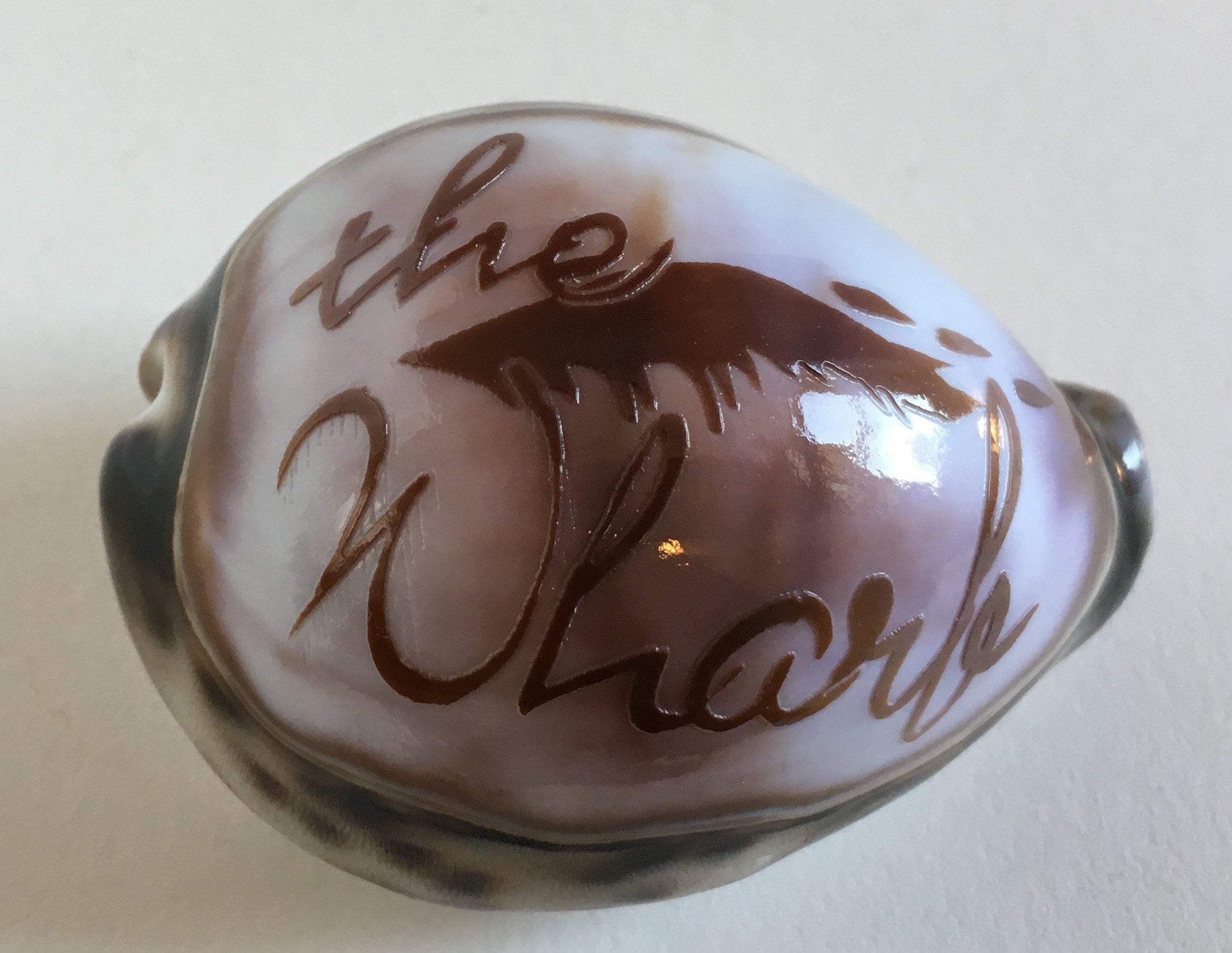 Vintage Carved Cowrie Shell Souvenir of the - Etsy