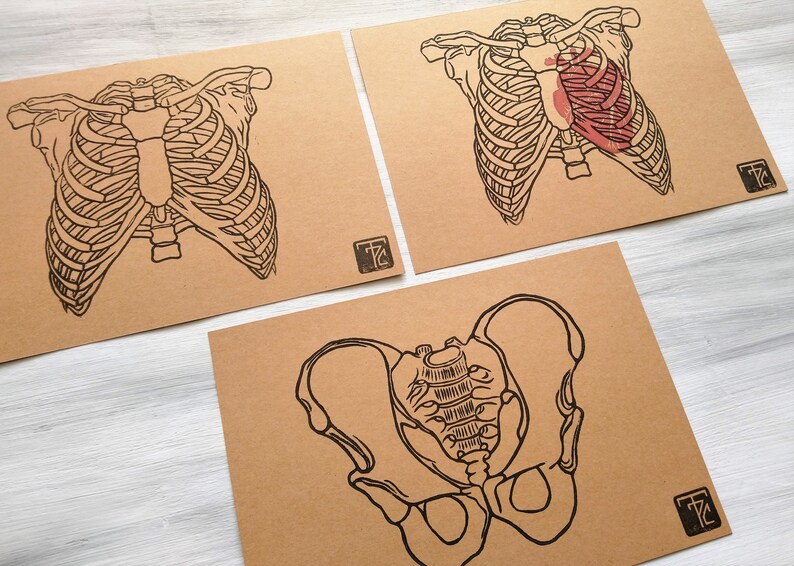 Ribs and Hips Original Linocut // Human Anatomy Linoprint | Etsy